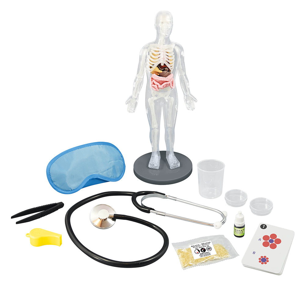 Buki France – Human Body Kit (12 Experiments) — Le Naturaliste