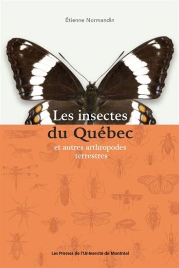Les Insectes du Québec et autres arthropodes terrestres — Le Naturaliste